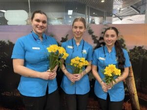 Its #DaffodilDay 🌼 💛 | The Happy Tooth Singleton