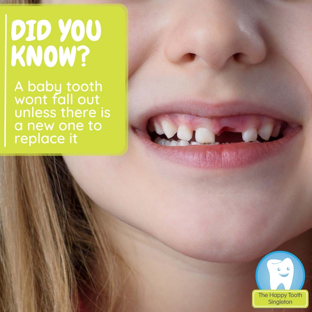 Did You Know? | The Happy Tooth Singleton